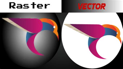 Do Vector Tracing Sketch To Vector Or Raster To Vector By Mdmanik Fiverr