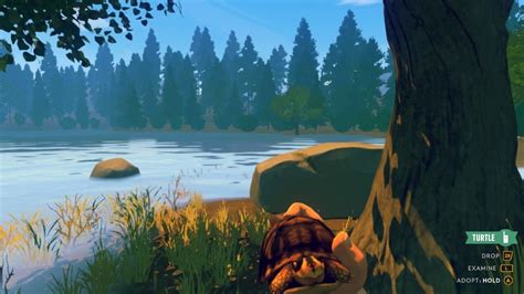 Essential Nintendo Switch Games