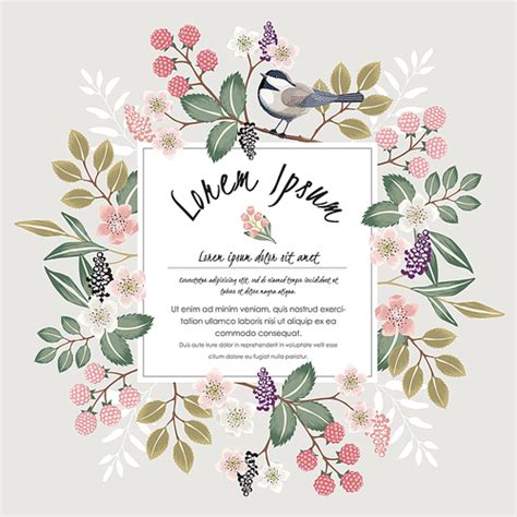 새와 열매가 있는 프레임 벡터 일러스트레이션 유토이미지 상세페이지 베이직샵 일러스트 21594144