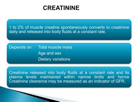 Renal Function Tests Pptx