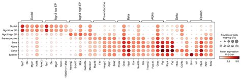rna velocity analysis — cscb2022 documentation