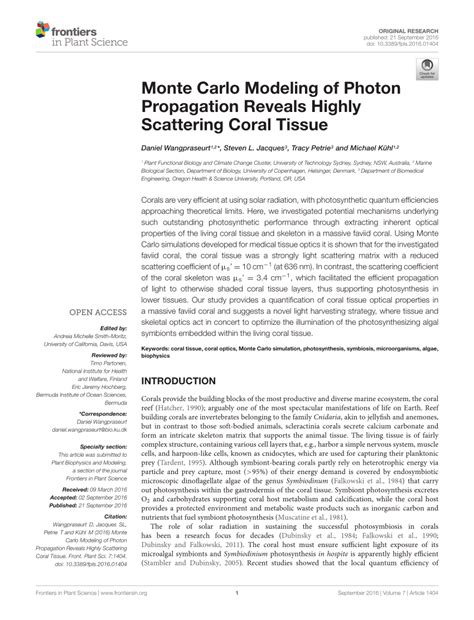 Pdf Monte Carlo Modeling Of Photon Propagation Reveals Highly