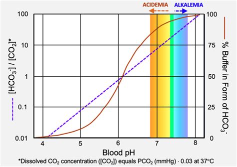 Acid Base Buffer Systems Openanesthesia