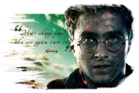 Harry Potter Truy N Phim V Nh Ng S Th T T Ai Bi T N Chuy N