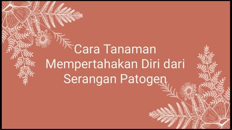 Cara Tanaman Mempertahankan Diri Dari Serangan Patogen Teknologi