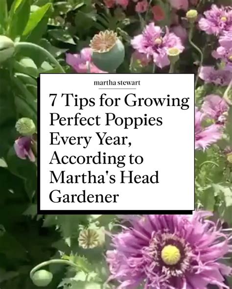 Ryan Mccallister Ryanmccallister1 • Instagram Photos And Videos