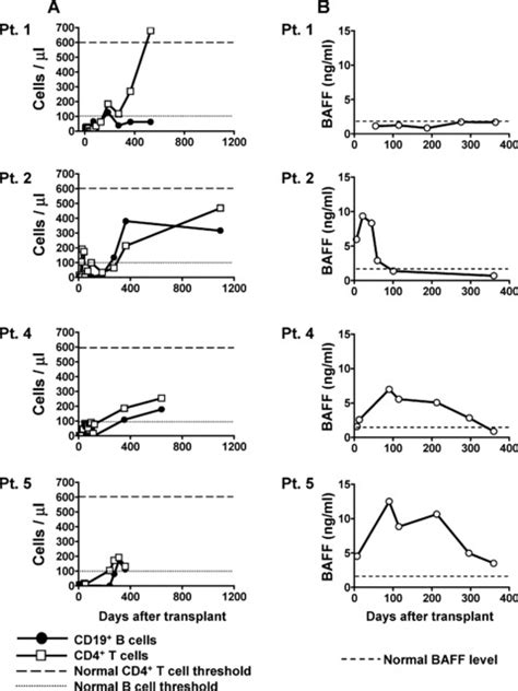 Immune Reconstitution And Serum Baff Levels A Peripheral Cd4 T Cell