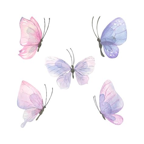 Ilustração Em Aquarela De Delicadas Borboletas Pinklilac Um Conjunto De