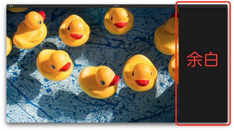 【python・opencv・matplotlib】2種類の画像を表示する方法について解説 Imshow Codevace