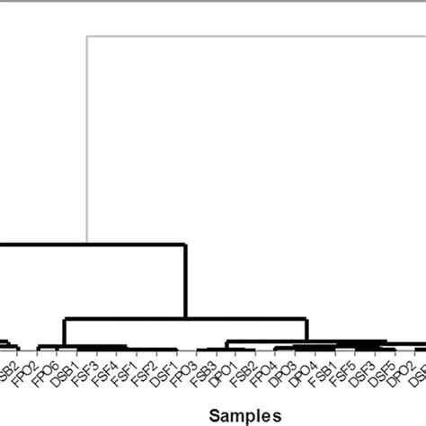 cluster analysis by ward linkage and euclidean distance obtained from