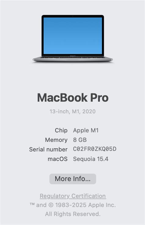 macos sequoia bug chrome fills local network settings with duplicates
