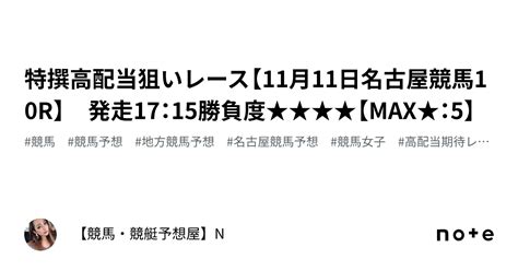 🔥特撰高配当狙いレース【11月11日名古屋競馬10r】 発走17：15勝負度★★★★【max★：5】｜【競馬・競艇予想屋】n