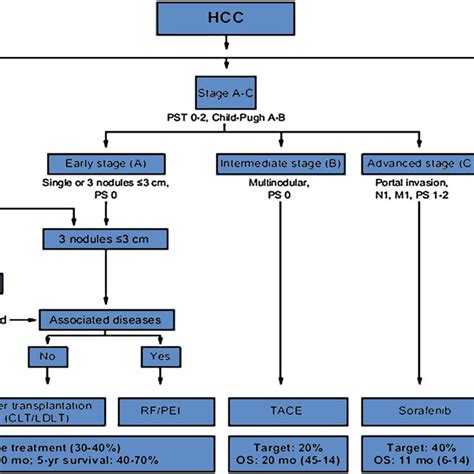Updated Bclc Staging System And Treatment Strategy Easl Eortc Clinical