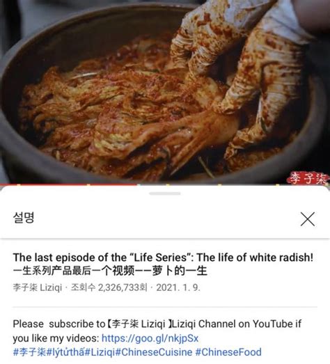 中 유튜버 김치 담가놓고 중국 전통요리 또 시작된 동북공정시민들 분통 아시아경제