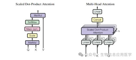一文解构大模型：transformer训练流程与微调代码实战 transformer训练过程 csdn博客