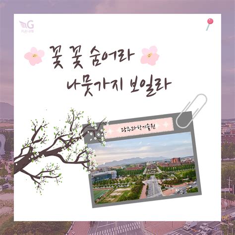 gist 광주과학기술원 지온나래 꽃 꽃 숨어라 나뭇가지 보일라 안녕하세요 지스트