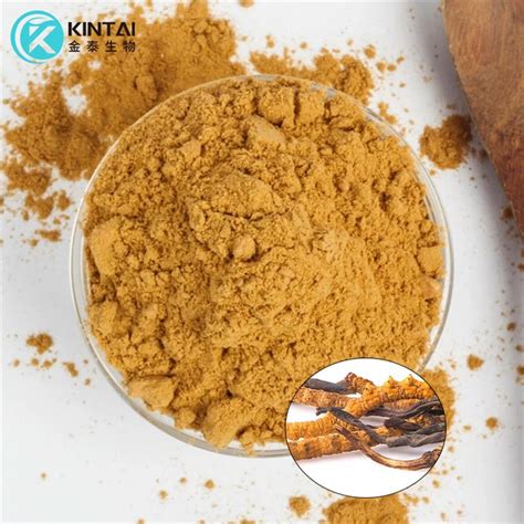 Cordyceps Extract Powder China Cordyceps Extract Powder Manufacturers