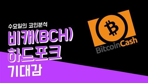 비트코인캐시 하드포크에 대한 기대감 Youtube