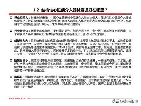 结构性心脏病介入器械行业深度报告：十年十倍正起航 报告精读 未来智库