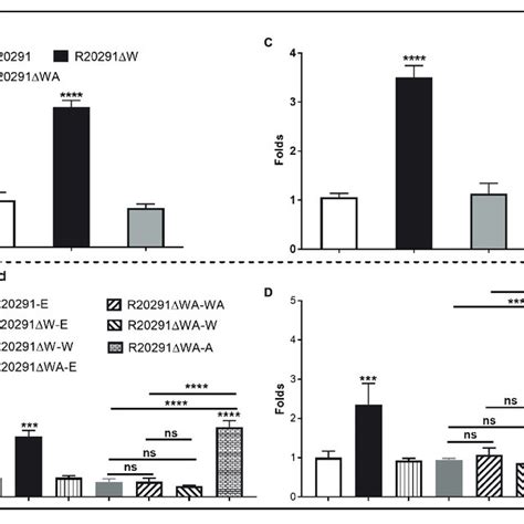 Adhesion Analysis Ab Adherence Of C Difficile Vegetative Cells