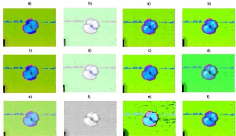 Images Fused Using 4th Order Symlet At The 2 Nd Decomposition Level