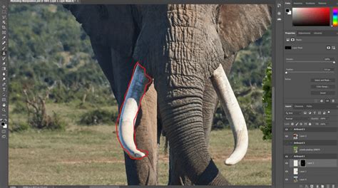 removing hiding objects with layer mask r photoshop