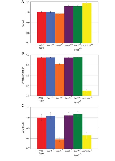 The Period Amplitude And Synchronization Scores For All Parameter