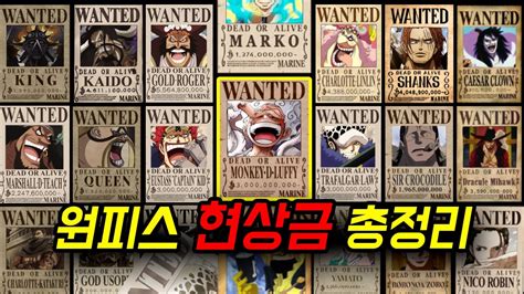 원피스 현상금 총정리 최신버전 모든캐릭터 YouTube