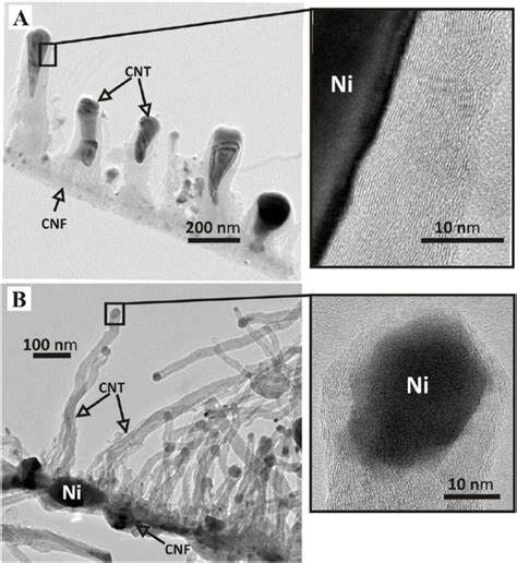 Tem Micrographs Of The Prepared Cnt Cnf Hierarchical Nanostructures Download Scientific Diagram