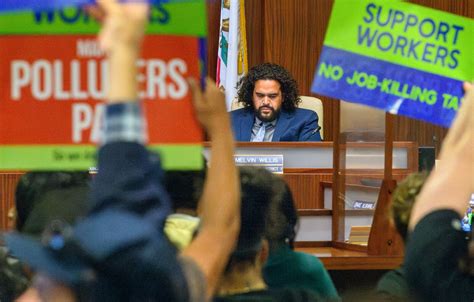 How Does Richmond City Council Work