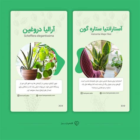 دانلود پلاگین Animation Composer 3 آموزش نصب و فعالسازی