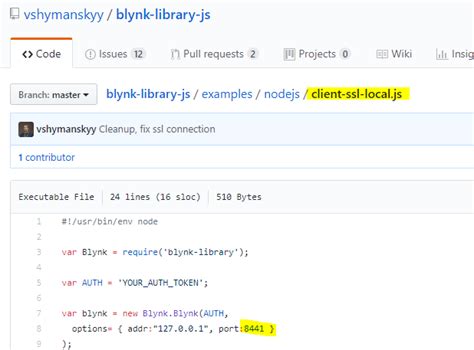 How To Change Hardware SSL Port By Raspberry Pi Need Help With My Project Blynk Community