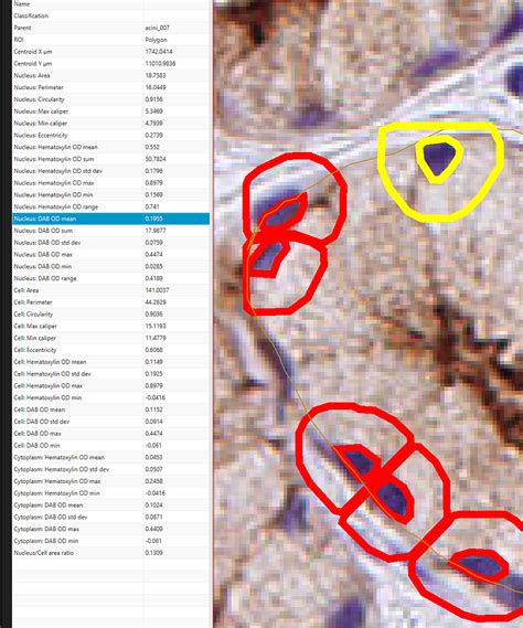 when scripting intensity measurements for detections the names are