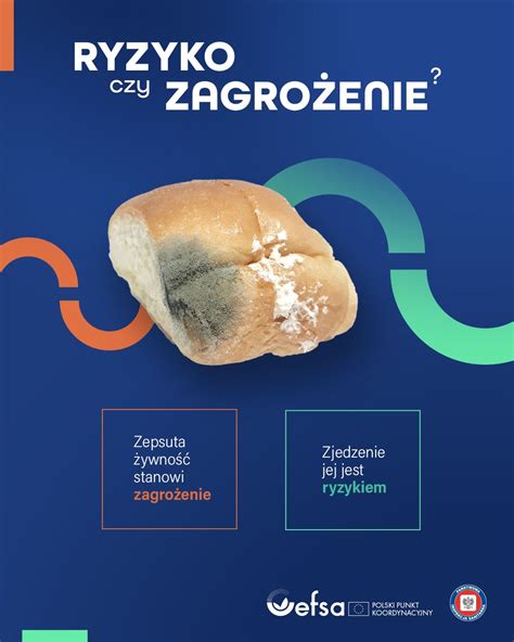Psse Płońsk Płońsk Gmina