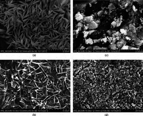 Sem Micrograph Of Fe Doped Zno Films At Various Doping Concentrations