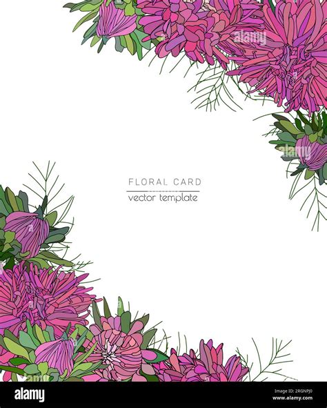 Vector Hand Drawn Flower Border Of Asters Daisies Green Leaves