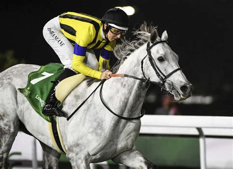 【レッドシーターフハンデキャップ】シルヴァーソニック快勝 一瞬の脚サク裂 スポニチ競馬web