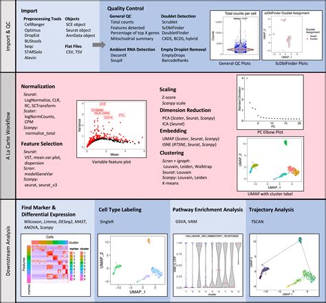 Interactive Analysis Of Single Cell Data Using Flexible Workflows With Sctk2 Patterns