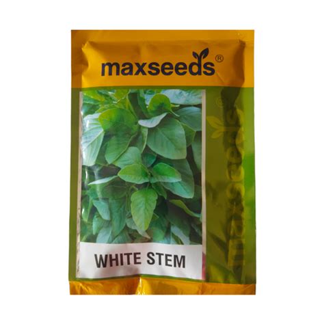Max Seeds Amaranthus Seeds Buy Online At Best Price Desikheti