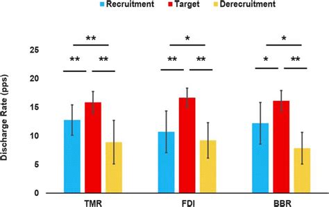 Common Synaptic Input To Motor Neurons And Neural Drive To Targeted Reinnervated Muscles