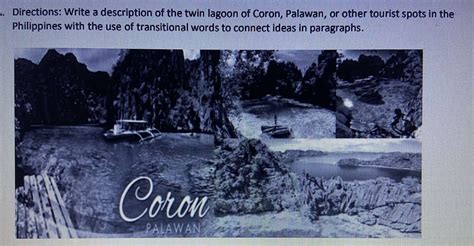A Directions Write A Description Of The Twin StudyX