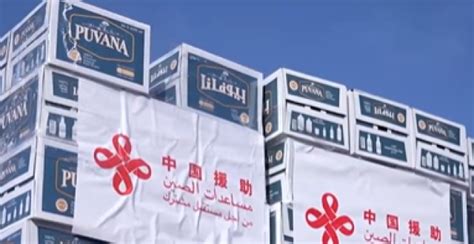 中国向加沙提供40车援助物资腾讯新闻