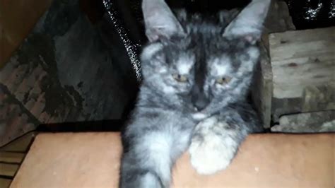 Самое козырное место в доме Особенно осенью и зимой Youtube