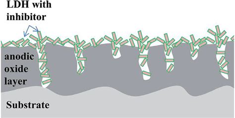 The Schematic Illustration Of Anodized Layer Sealed With LDH Loaded
