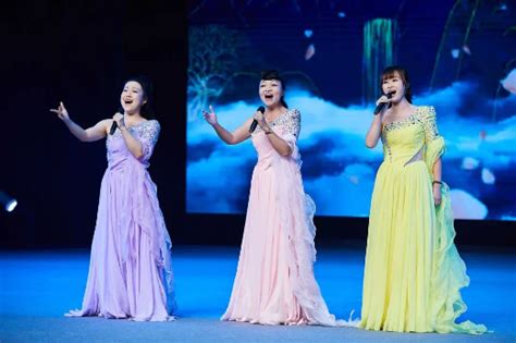 深圳市第十九届鹏城金秋市民文化节晒艺大舞台复赛于盐田会堂举办 部门信息 深圳盐田政府在线 深圳市盐田区政府门户网站