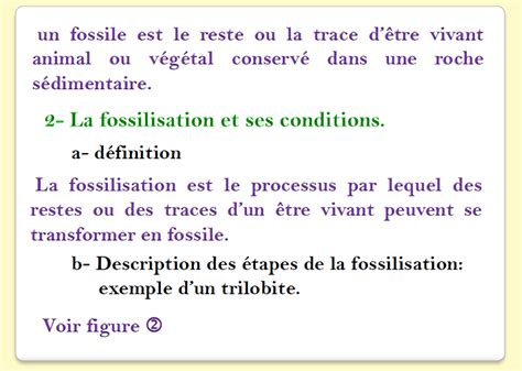 Svt Ghandi Fossiles Et Fossilisation