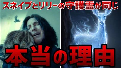【天才的伏線】ハリー・ポッターと死の秘宝part2に隠された伏線＆小ネタ Youtube
