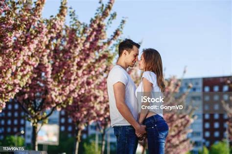 열정과 사랑 개념입니다 봄 날에 꽃 피는 정원에서 키스 하는 남자와 여자 사쿠라 나무 근처에서 포옹 하는 커플 사랑의 커플 봄