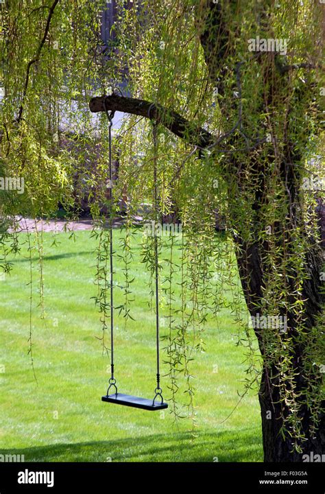Empty Garden Swing Stock Photo Alamy