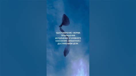 Удостоверение Youtube